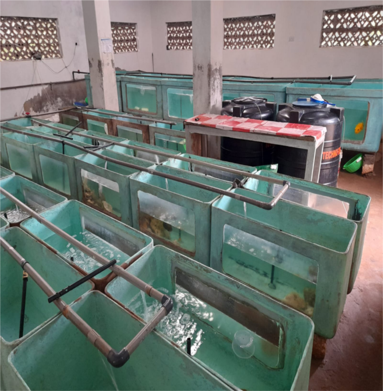 About Exotic Marine Limited Mtwapa Kenya - Exotic Marine Limited